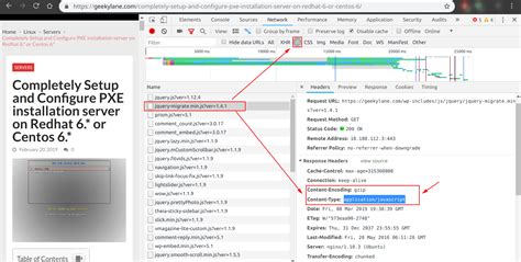 nginx with gzip compression for “application javascript
