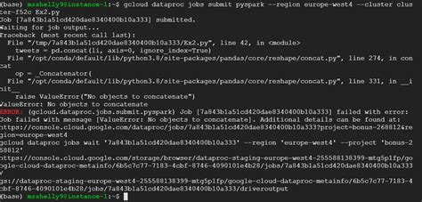 python value error when running script from cluster