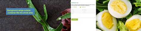 html vertically split half of the screen with bootstrap