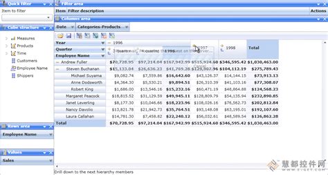 olap grid for asp and silverlight官方最新版免费下载 中文资源 在线文档 视频教程 技术支持 olap