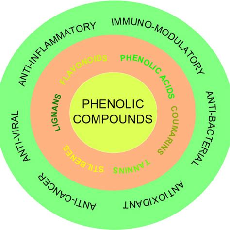Classification And Biological Activities Of Plant Phenolic Compounds