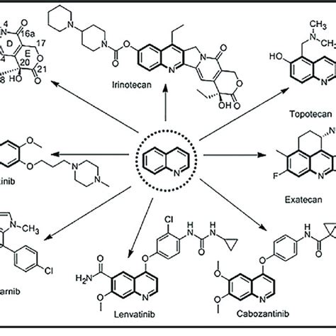 Pdf Design Synthesis And Molecular Modeling Of New Quinoline
