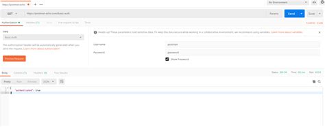 postman authorization methods testmace blog