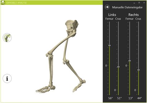 exoskeleton simulator barth development