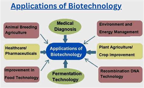 Application Of Biotechnology In Agriculture