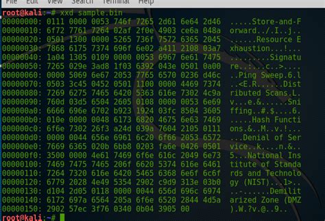 print unsigned long in hex c