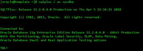 oracle 11g single instance silent installation practice record linux