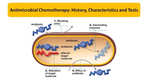 Antimicrobial Drugs Microbiology Notes