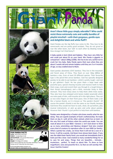 divine a non chronological report about pandas write visit on an