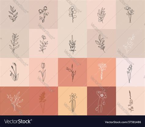 Continuous Line Drawing Set Plants Black Vector Image