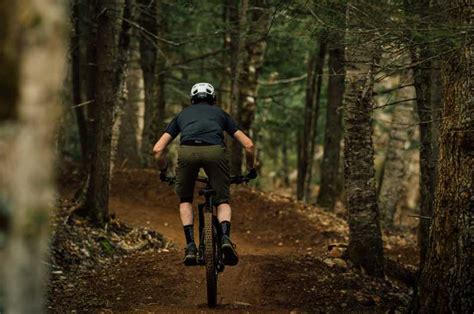Mombasa Promenade à Vélo Dans La Forêt De Bamburi Getyourguide
