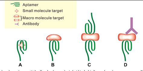 Figure 2 From Aptamer Based Biosensors Semantic Scholar