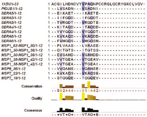 Alignment Of Pcfk1 With Substrate Sequences Of Pfsub1 The Sequence