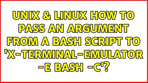 unix and linux how to pass an argument from a bash script to x terminal