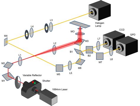 Can Anyone Suggest A Free Software For Drawing Optical Schematics