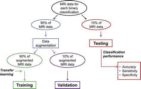 Flowchart Of The Main Steps Of The Experiments Performed Mri Data Of