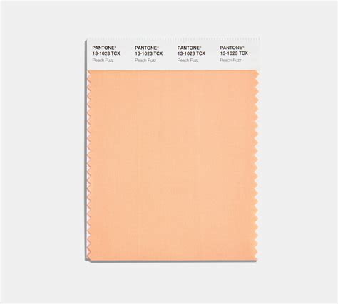 Pantone назвал цвет 2024 года — Сноб