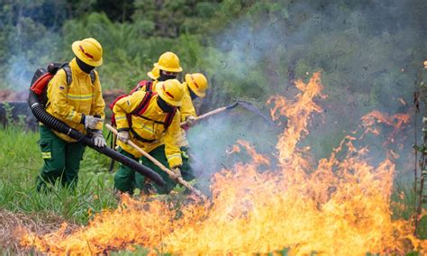 Los Incendios Forestales Azotan Al 85 De Los Municipios Del País Con