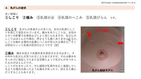 乳がんの臨床②「乳がんの症状」 医療法人行堂会 長野病院