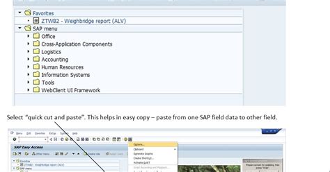 sap user how to do quick copy and paste in sap