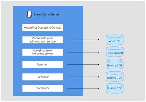 stand alone server topology