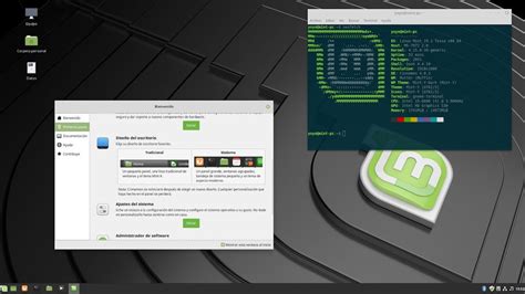 linux mint 19 1 скачать и обновится