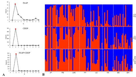 Graphical Representation Of Population Structure Using Structure V2 3 4