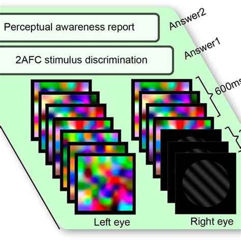 Schematic Depiction Of Experimental Paradigm A Low Luminance