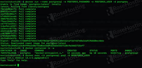 how to set environment variables in docker rosehosting