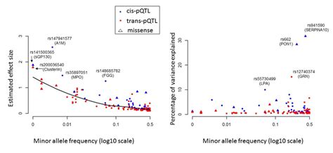 Pqtl Minor Allele Frequency Vs Effect Size And Proportion Of Variance