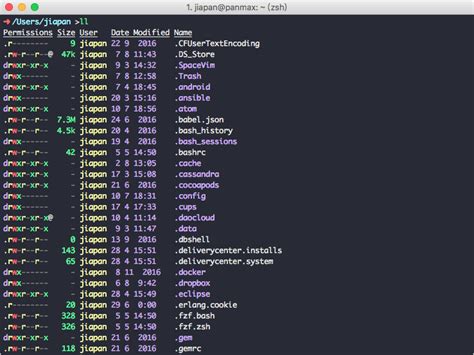 exa 和 zsh syntax highlighting 贾攀家