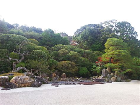 2015年11月 ろっこう医療生活協同組合 東雲診療所｜神戸市中央区の春日野道にある診療所（内科・糖尿病内科・リハビリテーション科）