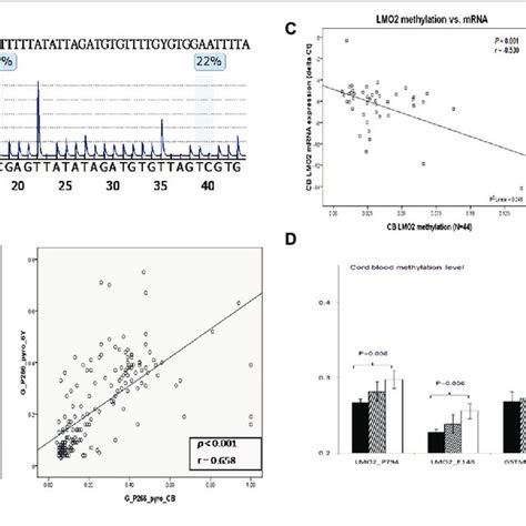 Quantitative And Functional Validation Of Lmo2 Methylation Contents