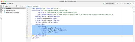 set up your java dev environment for phlo plivo sdks