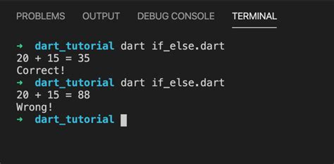 dart programming language