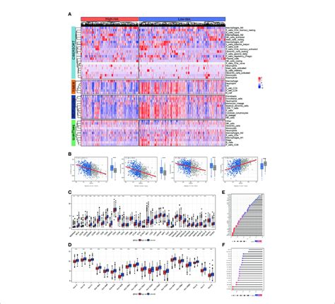 The Correlation Between Risk Score And Expression Of The Immune