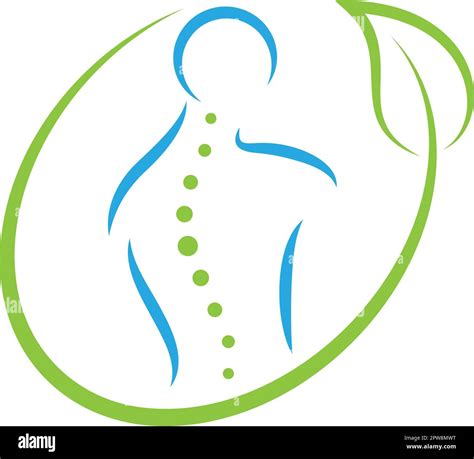 Human And Spine Chiropractor Physical Therapy Orthopedic And Massage