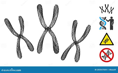 Hatched Chromosomes Vector Mesh Stock Illustration Illustration Of