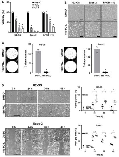 Ijms Free Full Text 15d Pgj2 Promotes Ros Dependent Activation Of