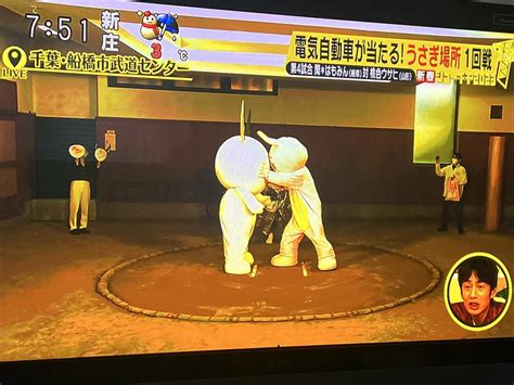 かっち🐧 On Twitter 新春シューイチ 日テレ 桃色ウサヒが出てる！ がんばれ！桃色ウサヒ🐇🐇 一回戦勝ったよ🤗 うさぎ場所