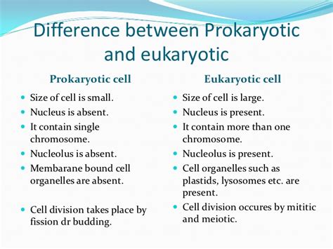 Difference Between Prokaryotic And Eukaryotic Cell Pdf To  Abcjax