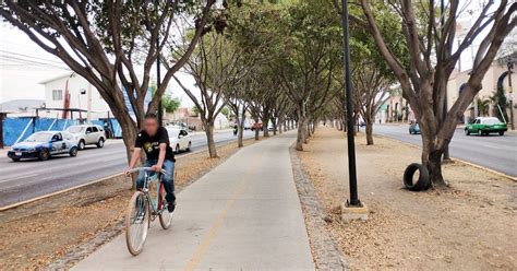 El Peligro De Andar En Dos Ruedas Estas Son Las Ciclovías Más