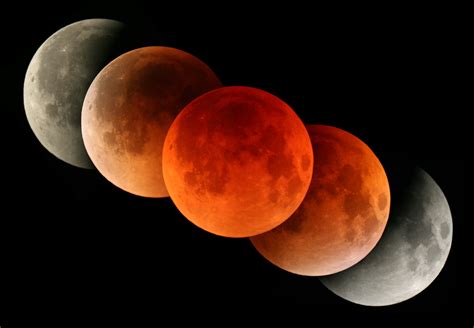 ucr today total lunar eclipse montage