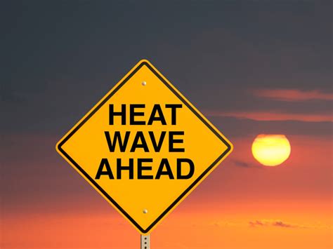 Beat The Heat Top 10 Tips For Seniors To Stay Safe In The Sun Mac Inc
