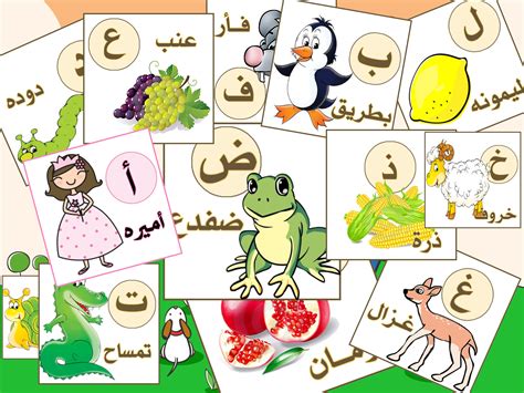 بطاقات الحروف الهجائية بطاقات الحروف الهجائية من الالف للياء لرياض