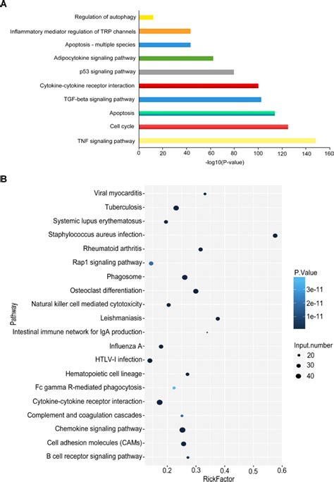 Function Annotations For Differentially Expressed Lncrnas A Gene