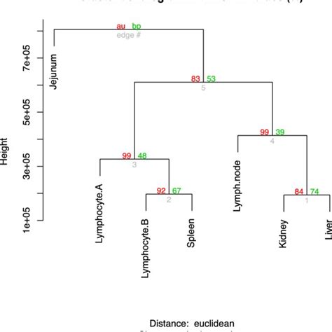 hierarchical clustering of gene expression profiles in seven tissues