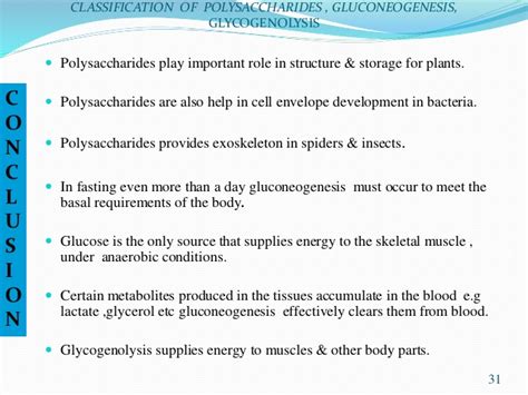polysaccharide definition structure functions and examples