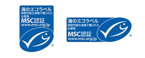 環境保全の目印になるエコマークとは？類似する環境ラベルについてもご紹介！ One Eco Project