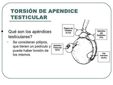 Cirugía Pediatrica
